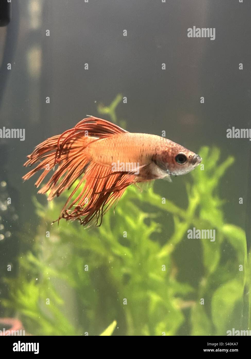 Water tank relax hi-res stock photography and images - Alamy