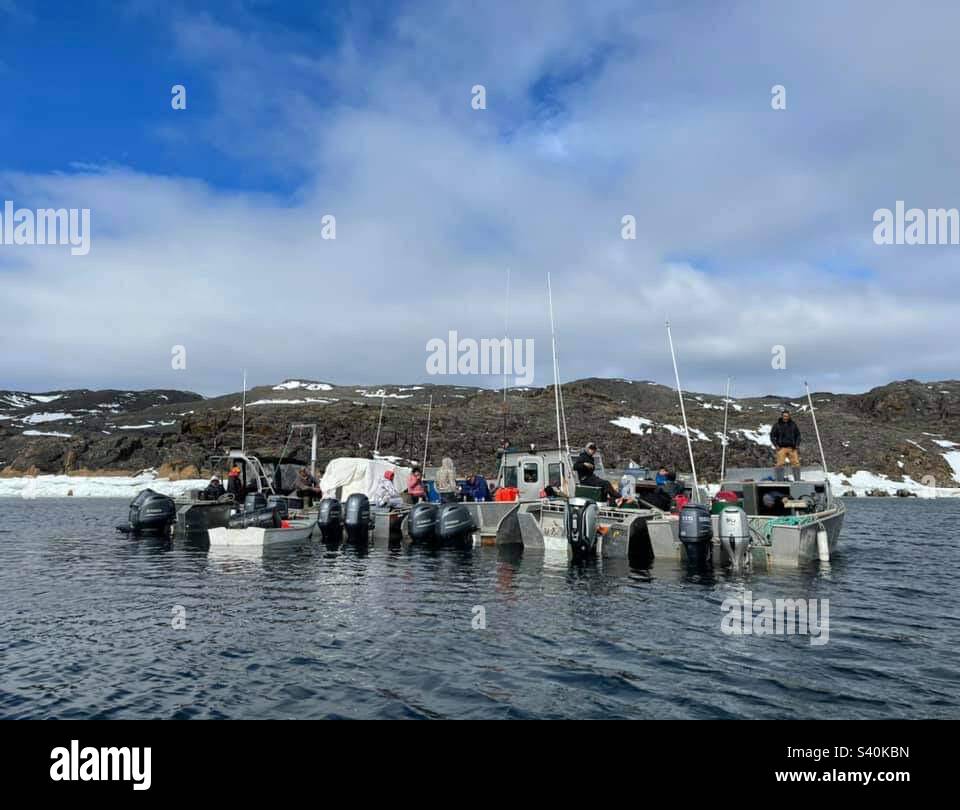 Beluga hunting hi-res stock photography and images - Alamy