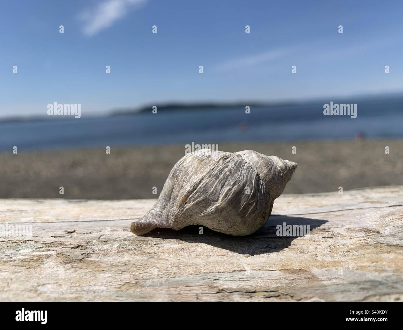 Washington coast hi-res stock photography and images - Alamy