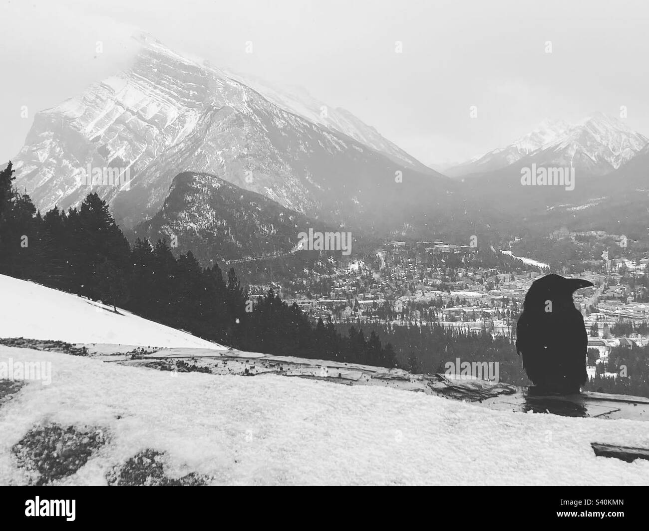 Bottom mount Black and White Stock Photos & Images - Alamy