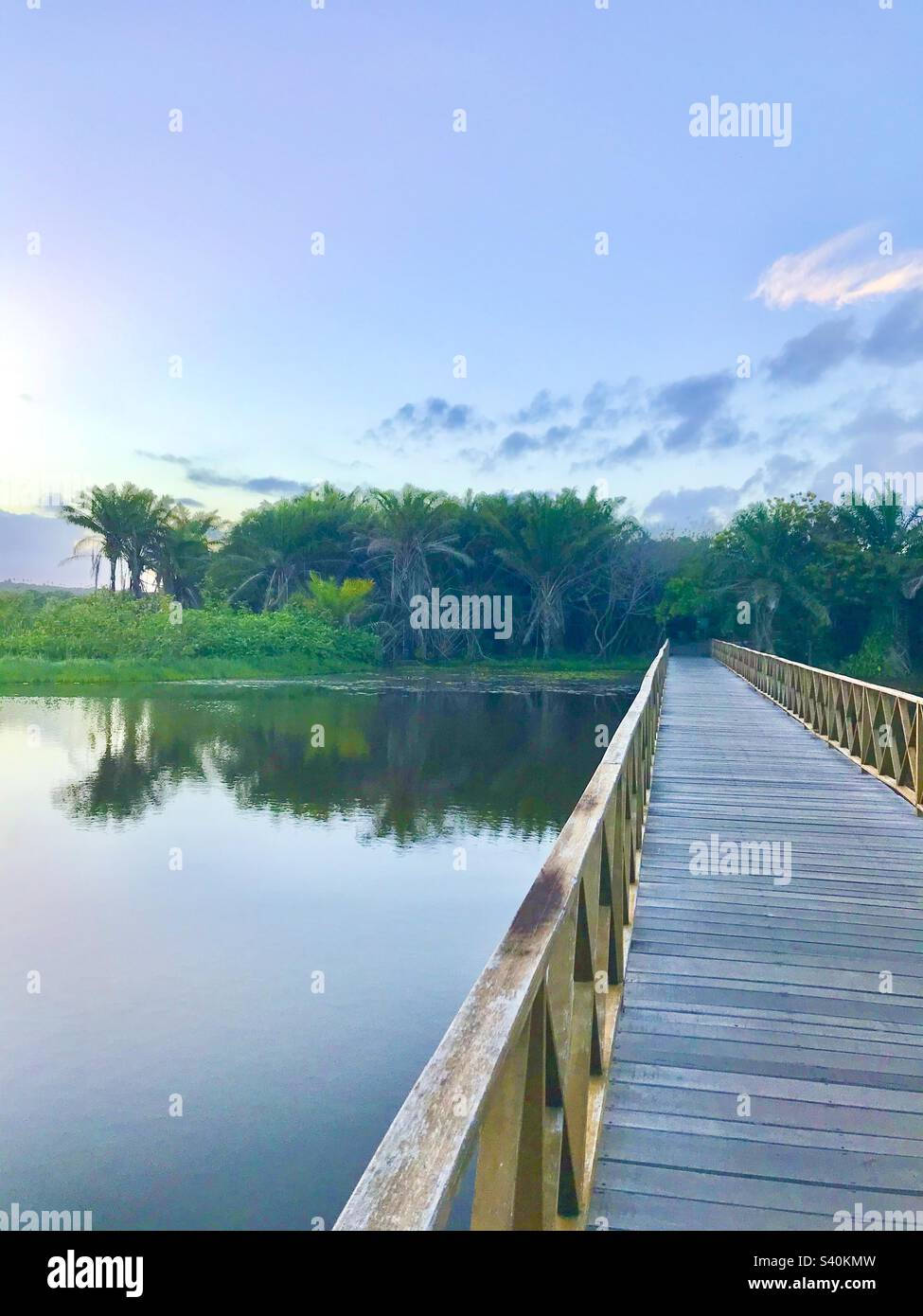 Bridge over lake. Brazilian landscape Stock Photo - Alamy