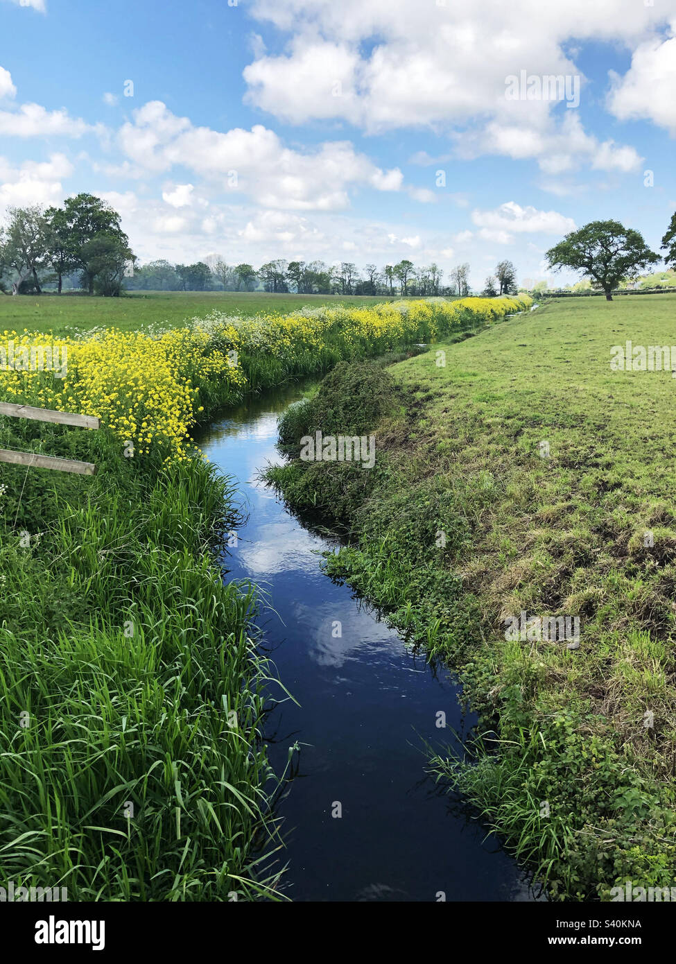 English springtime hi-res stock photography and images - Alamy