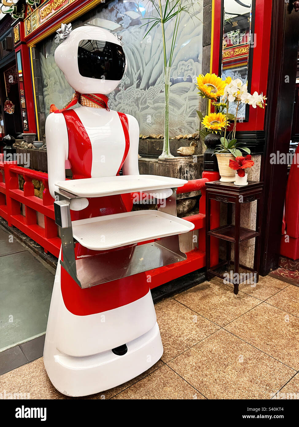 Robotic waitress and server inside a restaurant Stock Photo - Alamy