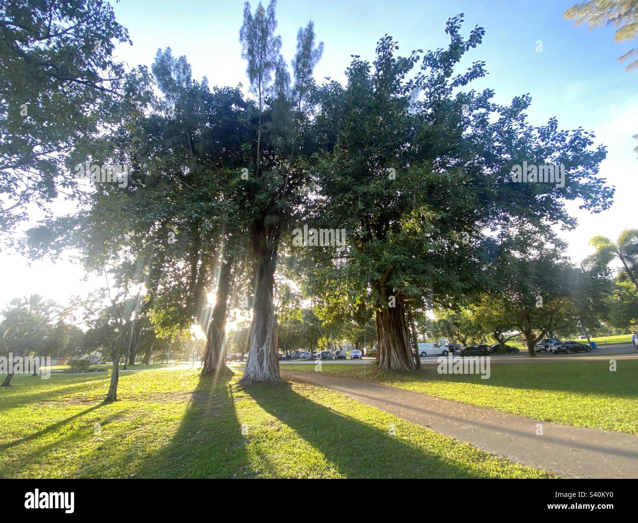 Florida miami springs hi-res stock photography and images - Alamy