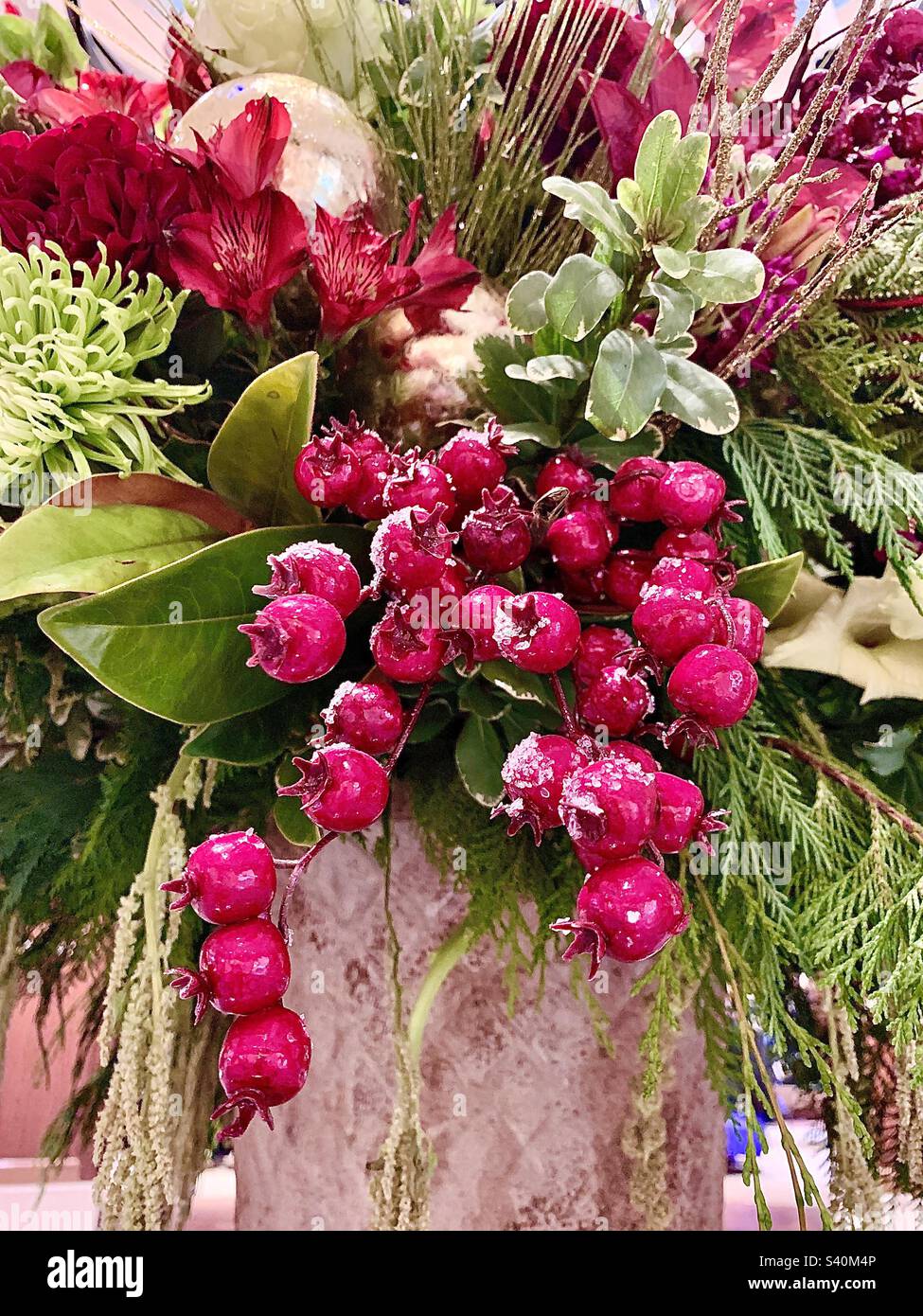 A spray of colorful crabapples bright magenta in color Stock Photo - Alamy