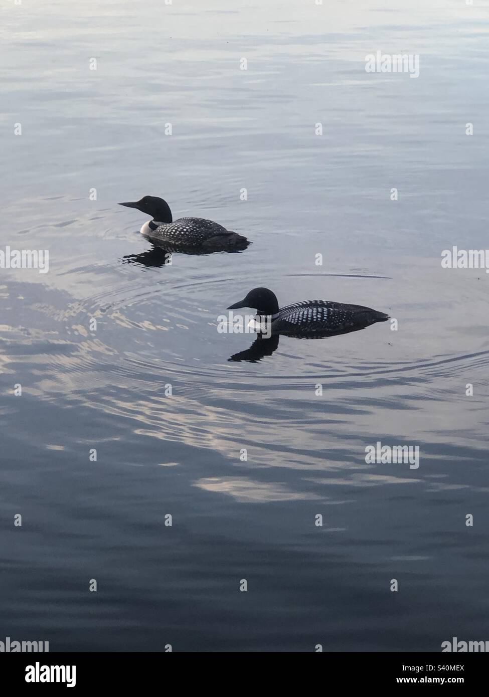 Make up lover hi-res stock photography and images - Alamy