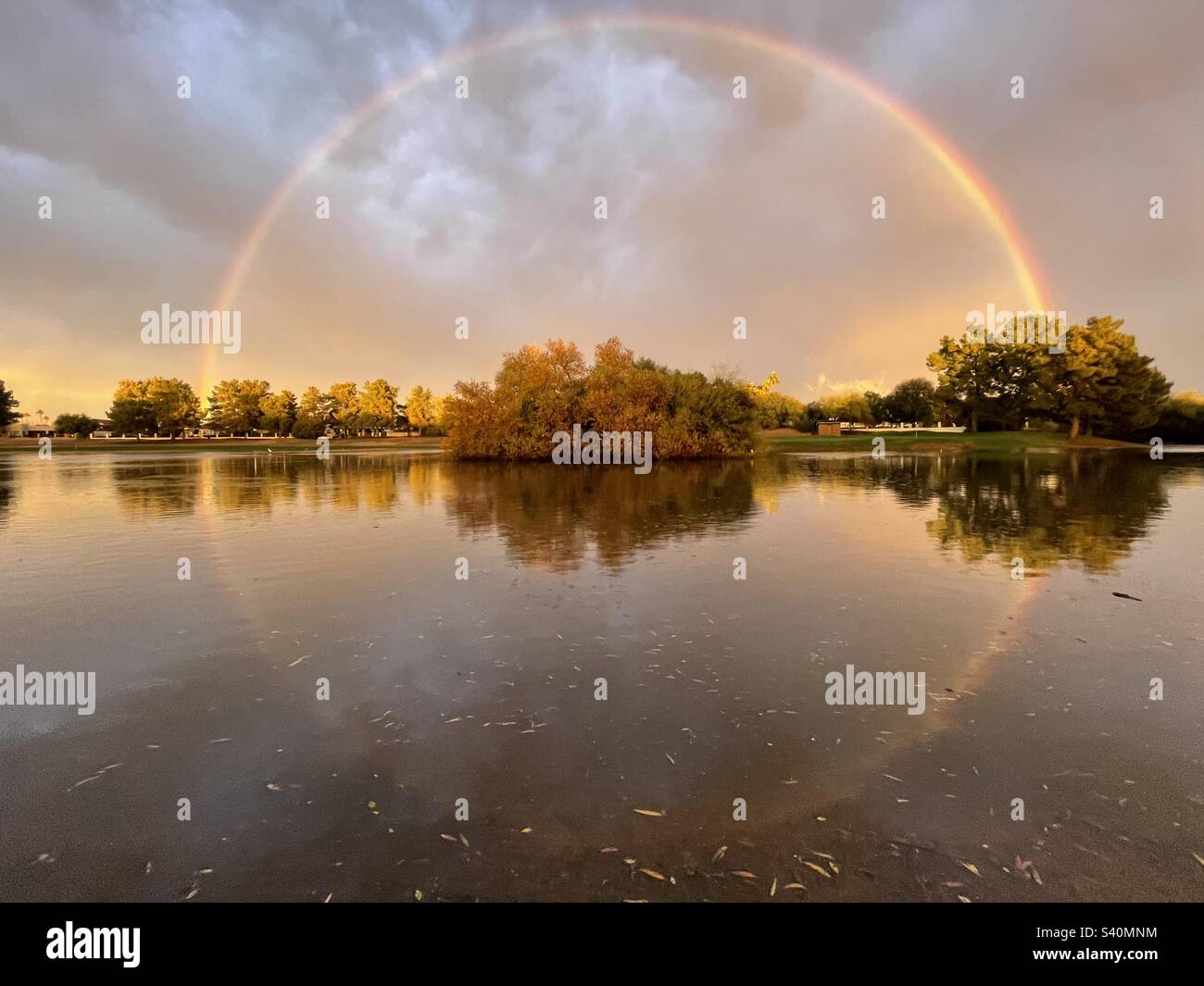 Head on, 360 degree rainbow! Rainbow reflection in pond, tree ...