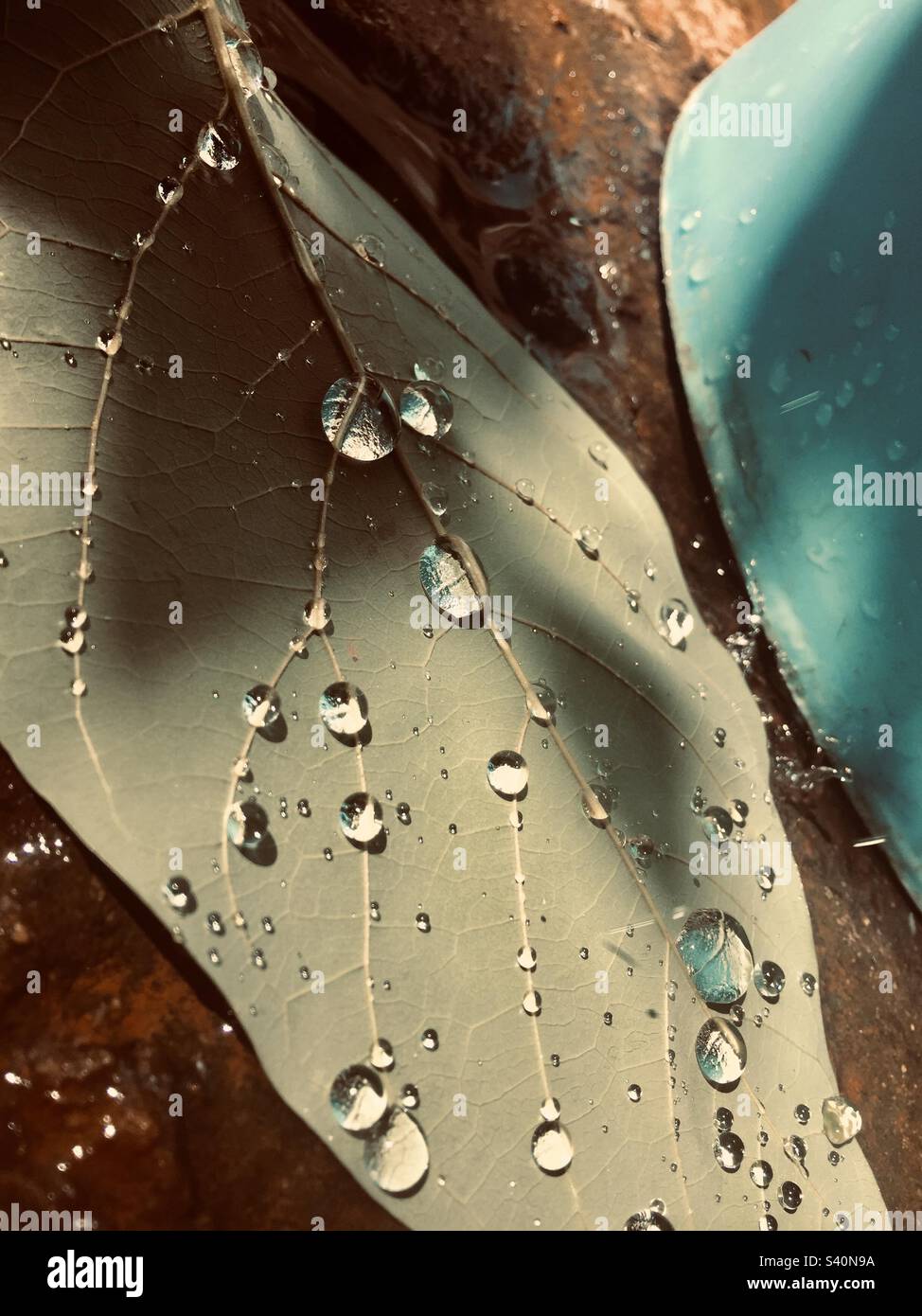 Artistic water droplets hi-res stock photography and images - Alamy