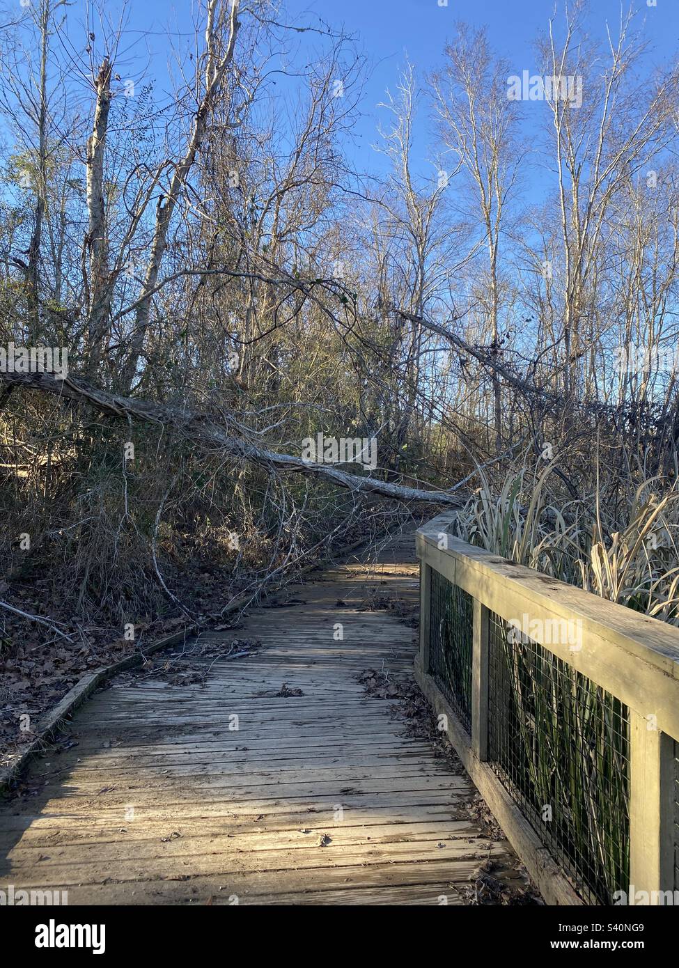 Damaged boardwalk hi-res stock photography and images - Alamy