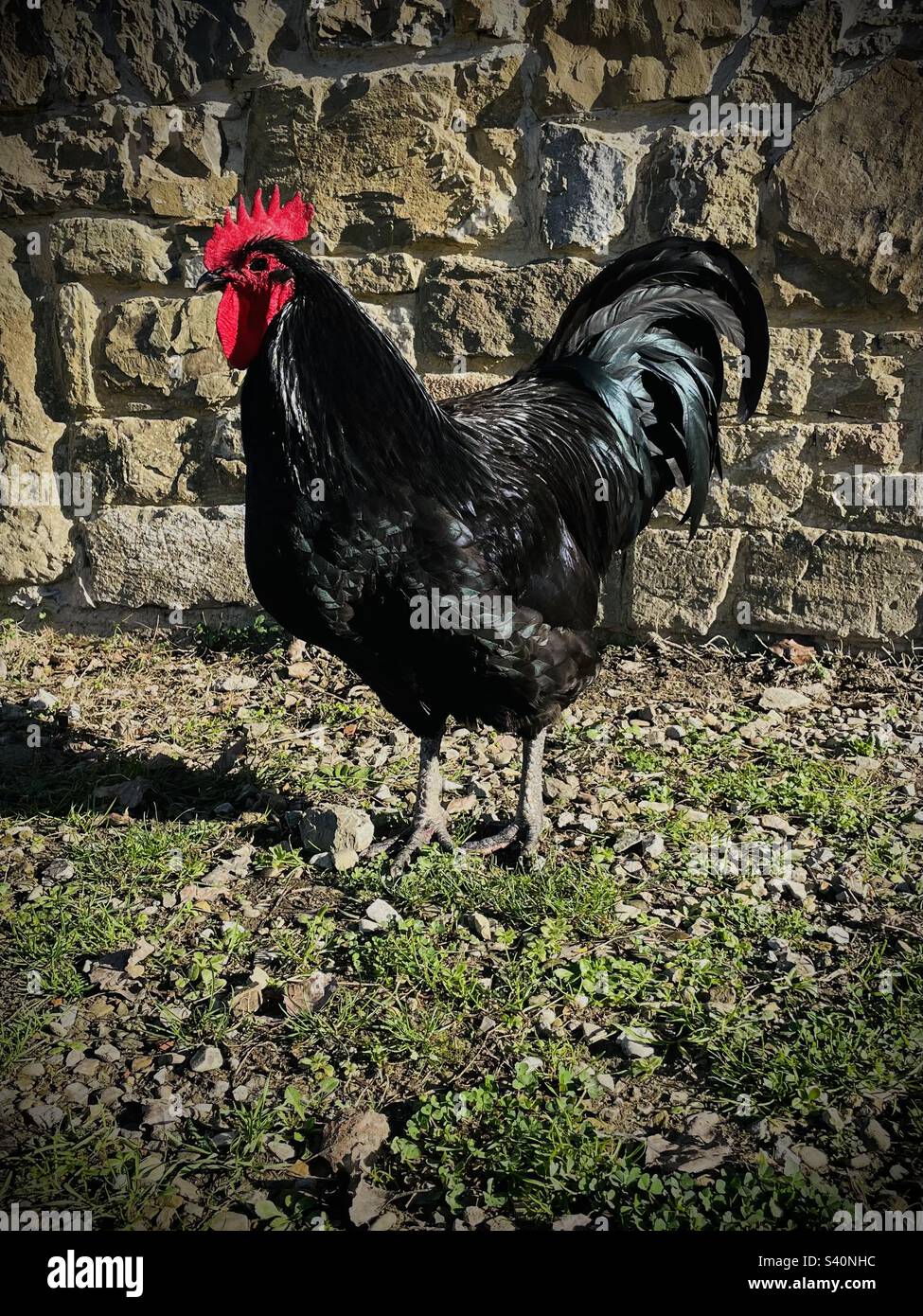 Red black barn hi-res stock photography and images - Alamy