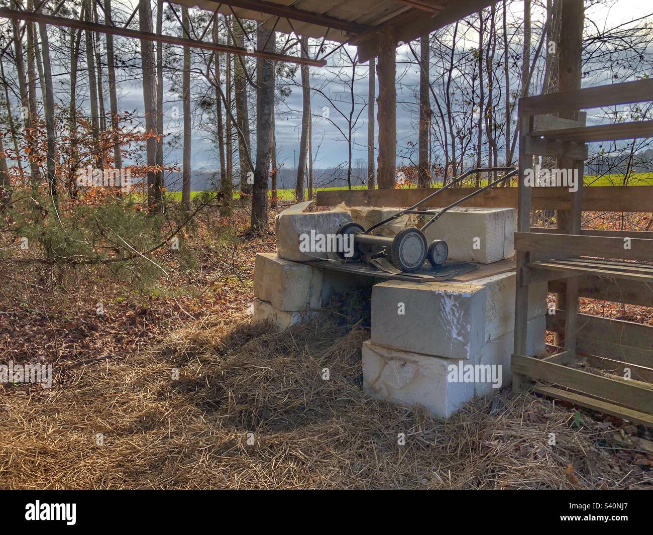 Makeshift dog house out of styrofoam blocks Stock Photo - Alamy