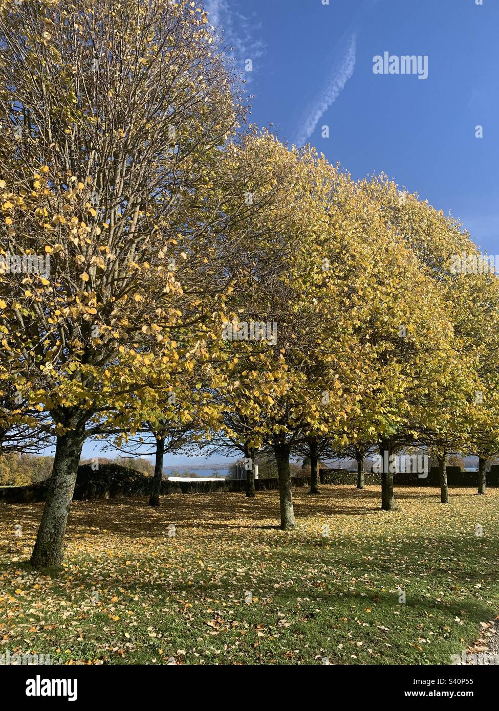 Geneva and countryside hi-res stock photography and images - Alamy