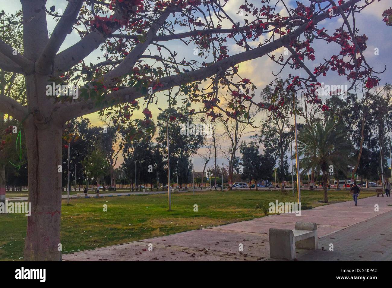 Ismailia hi-res stock photography and images - Alamy