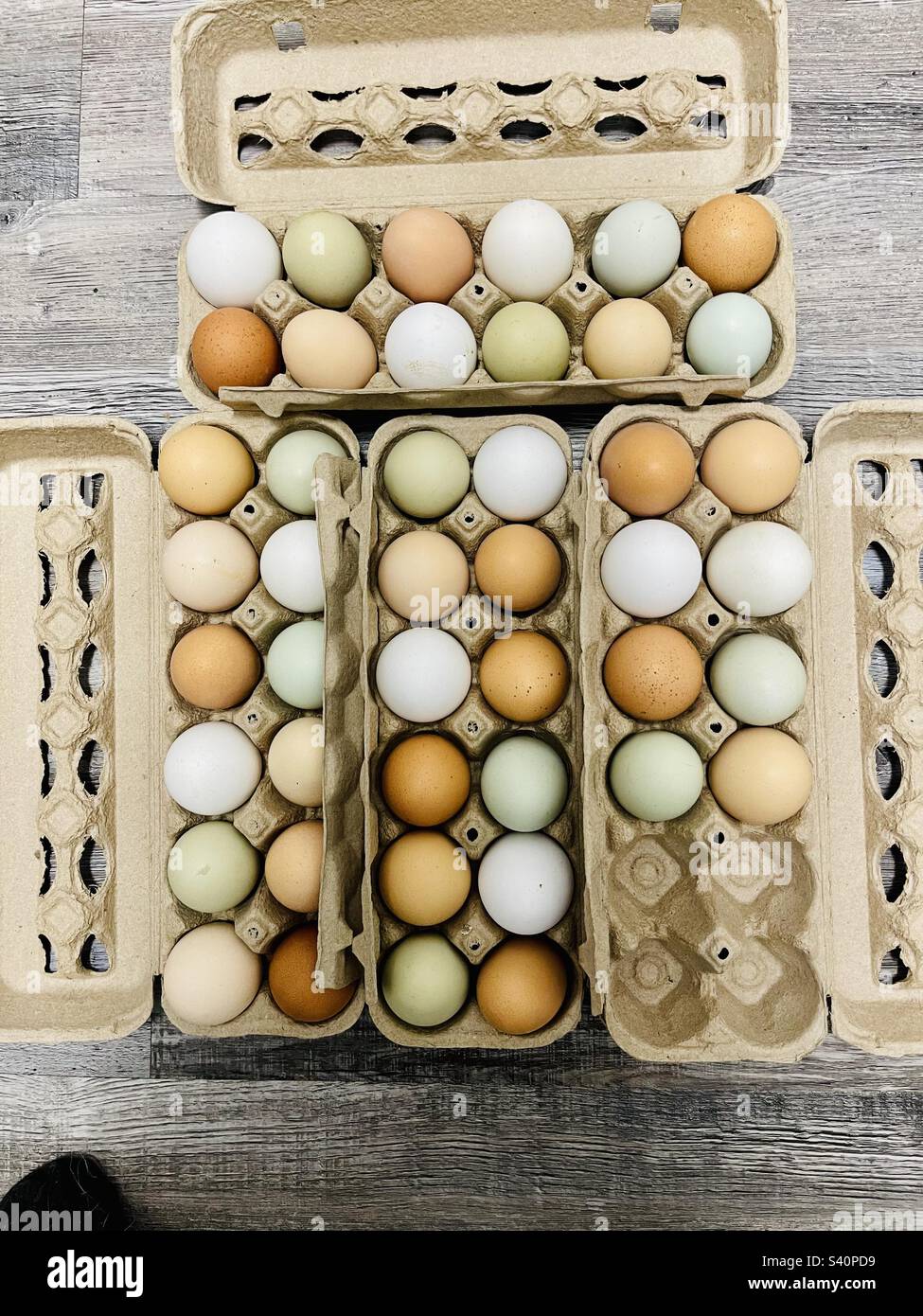 2888 hi-res stock photography and images - Alamy