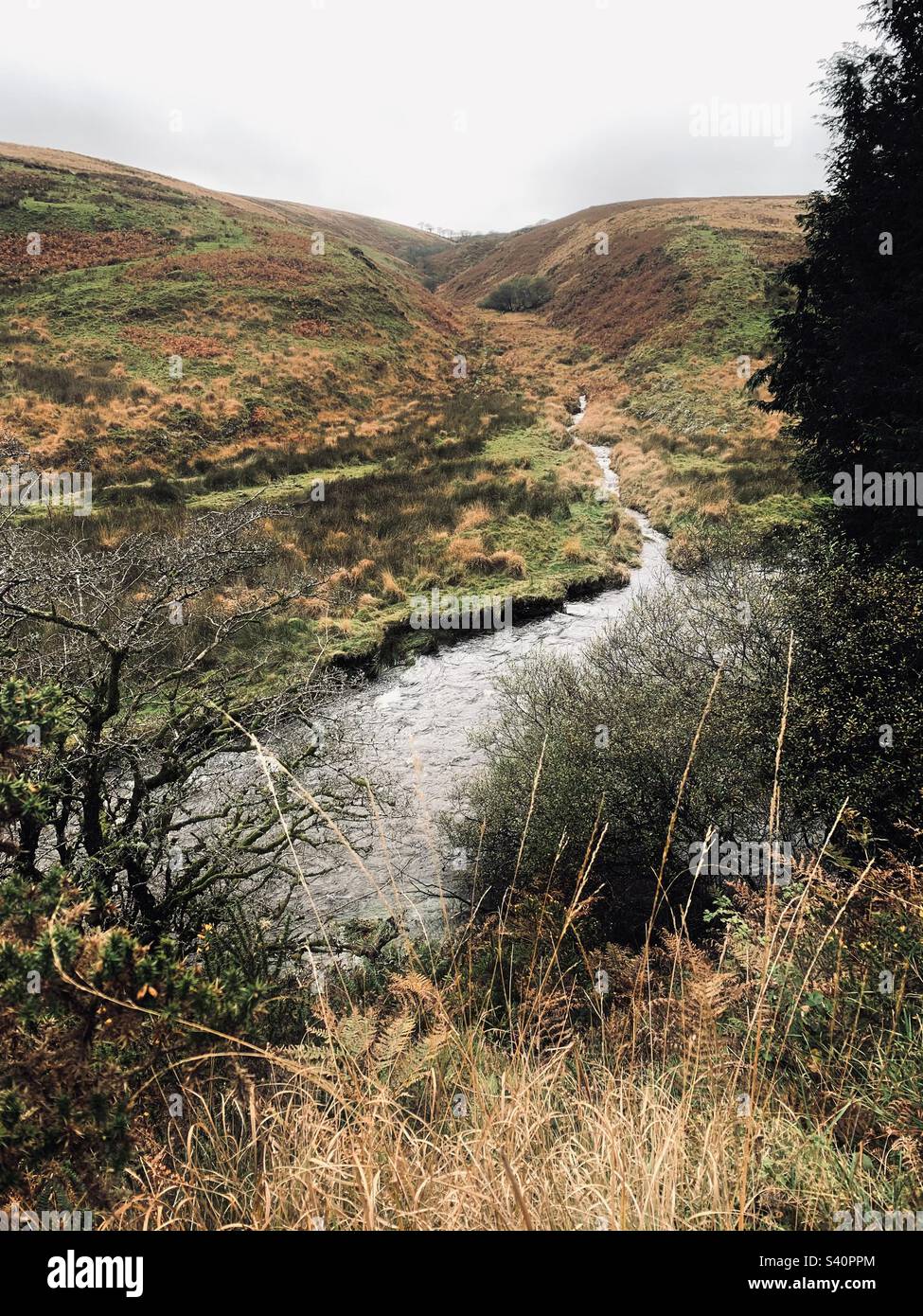 Simonsbath hi-res stock photography and images - Alamy