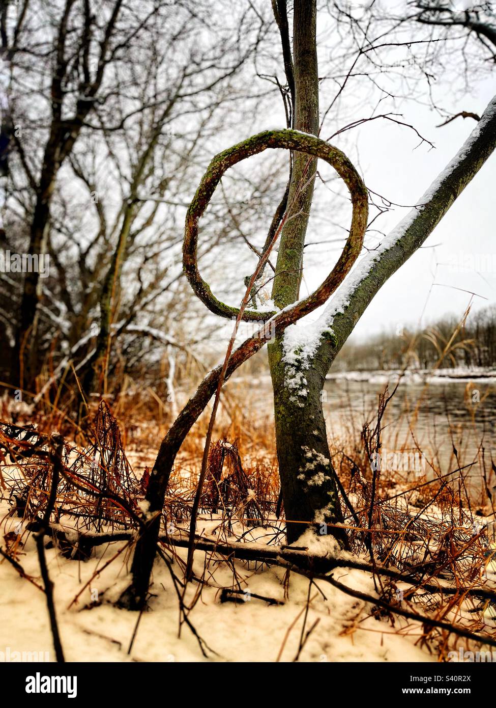 Question mark in nature hi-res stock photography and images - Alamy