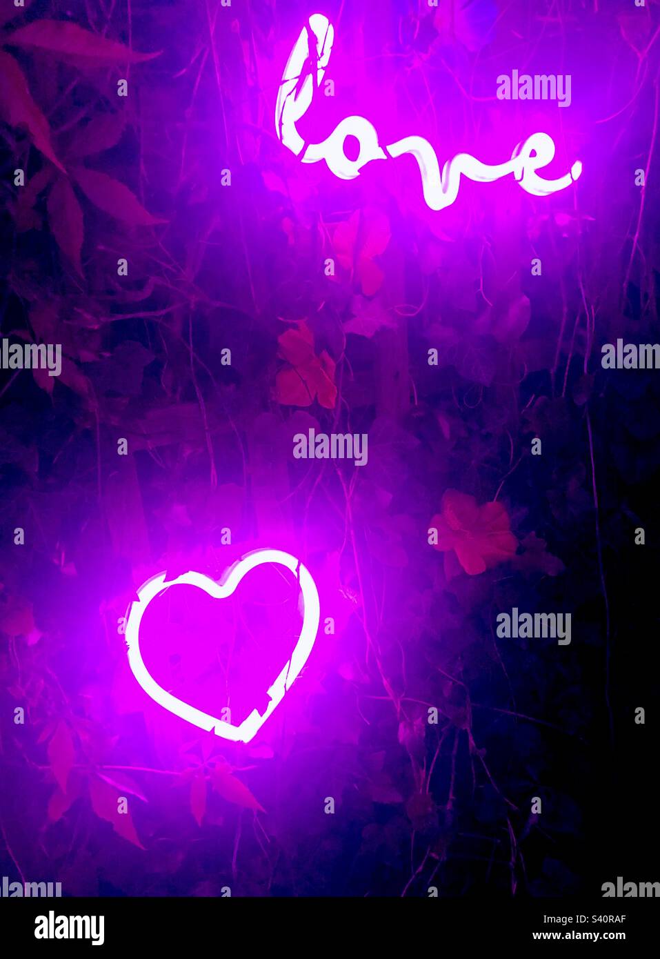 Neon love signs Stock Photo - Alamy