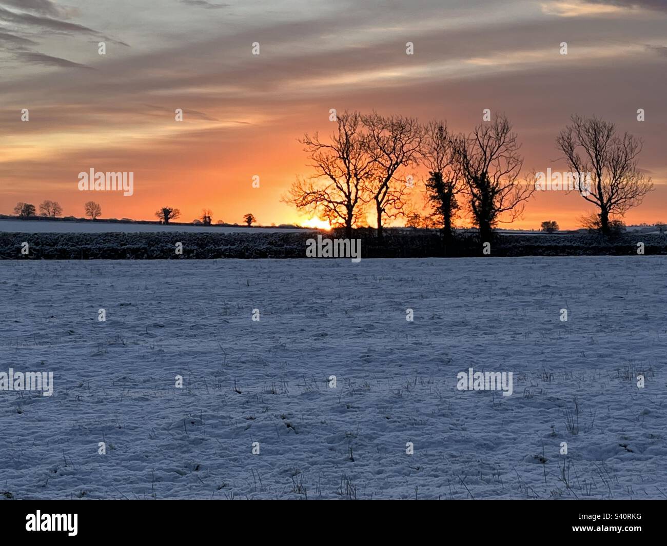Field sunrise snow hi-res stock photography and images - Alamy