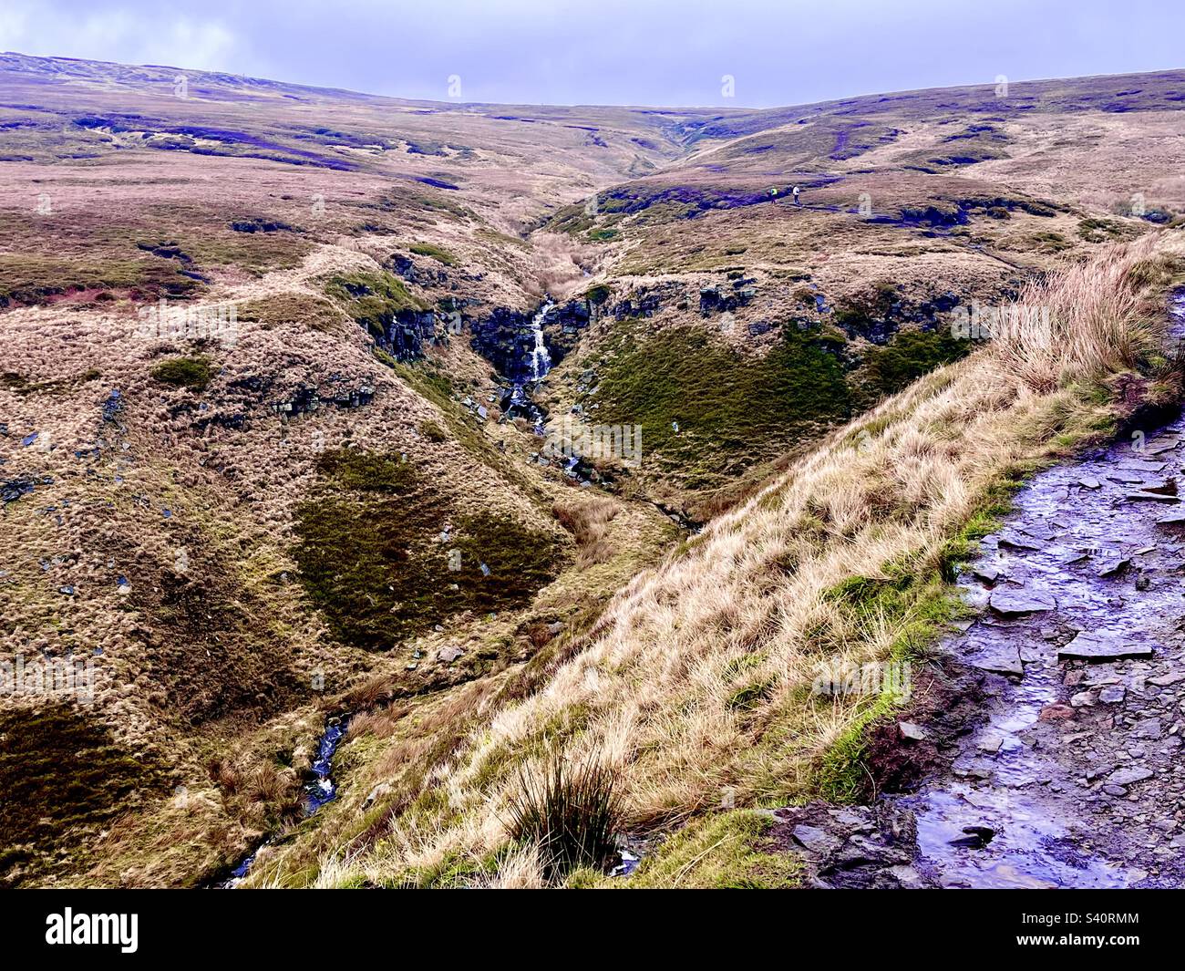 Snake walk hi-res stock photography and images - Alamy