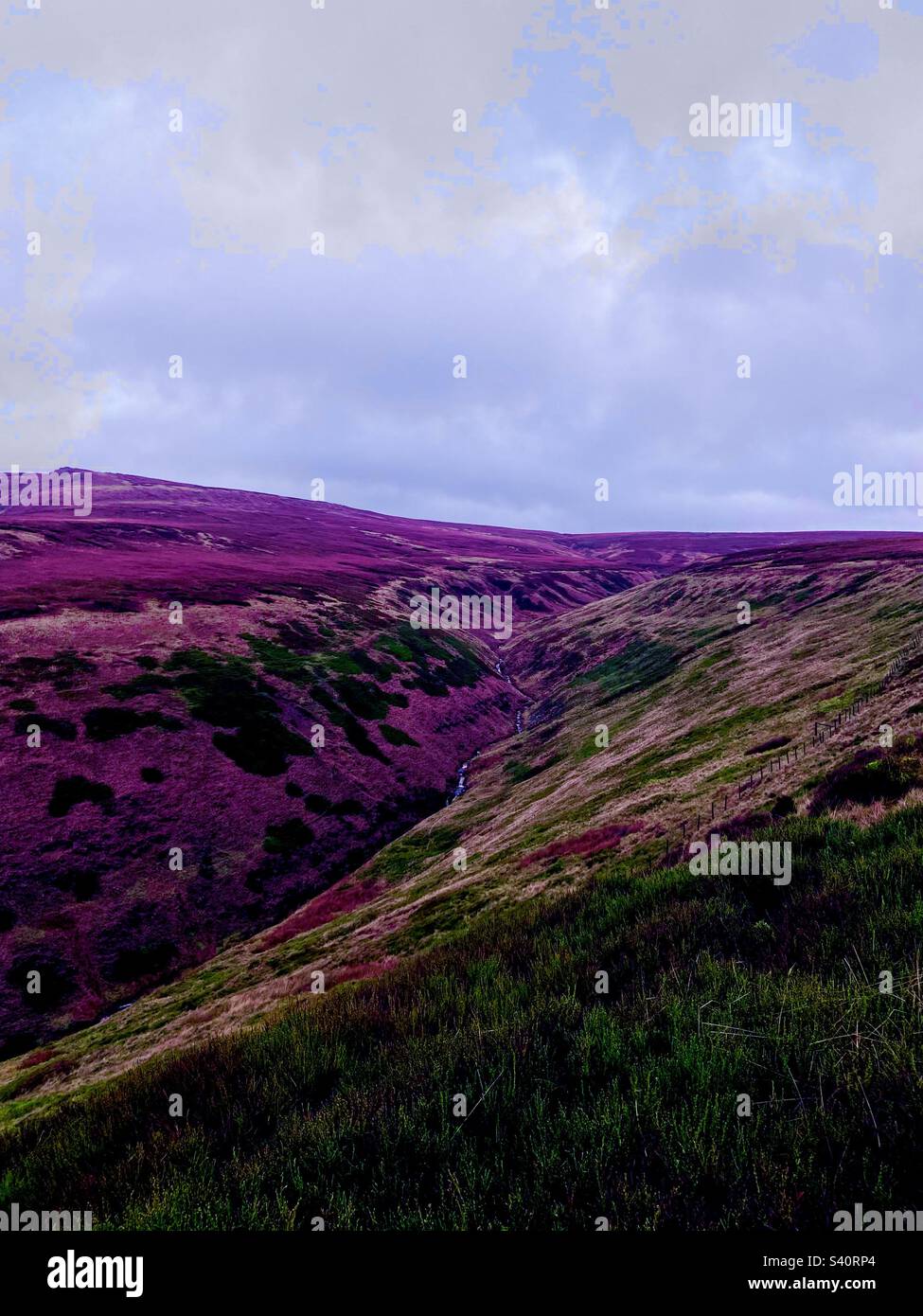 Heather and grass moorland hi-res stock photography and images - Alamy