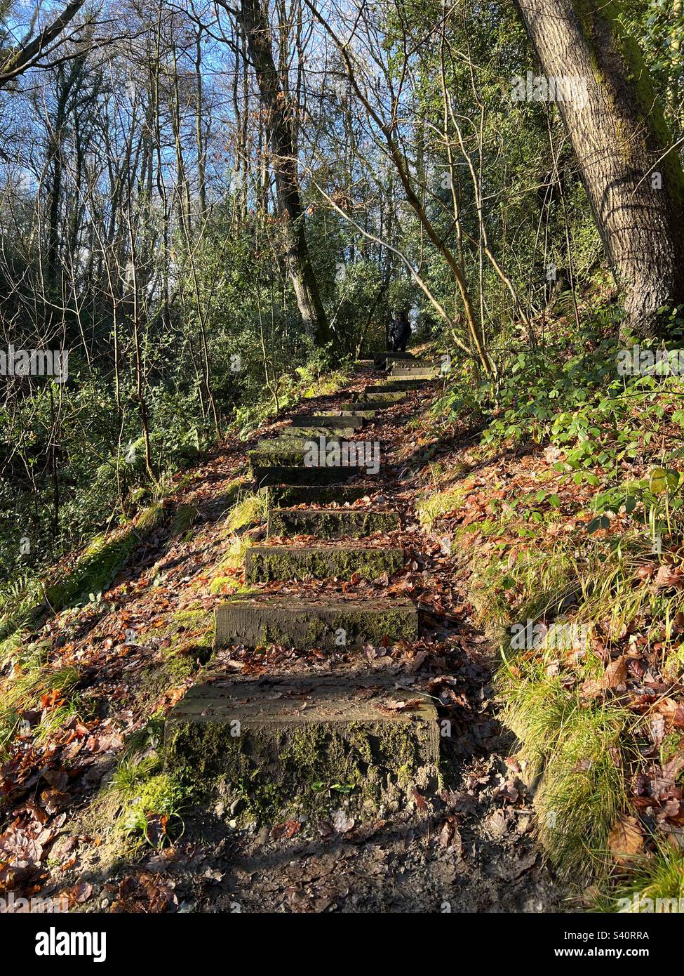 Loamhole hi-res stock photography and images - Alamy