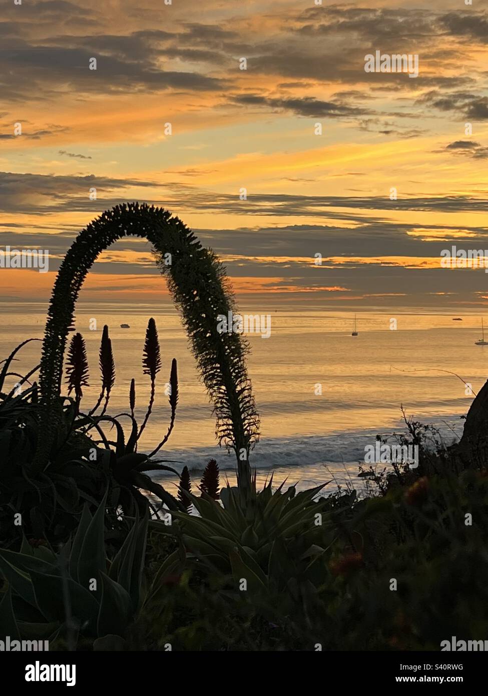 Butterfly beach hi-res stock photography and images - Alamy