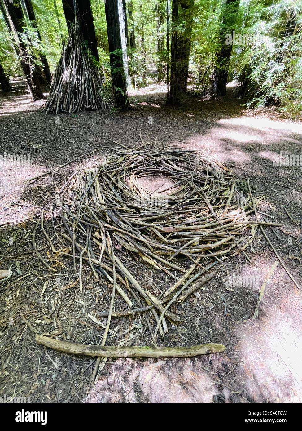 Sphere nest hi-res stock photography and images - Alamy