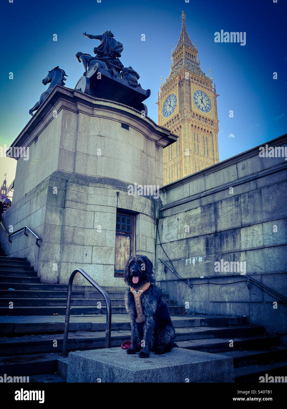 Ben the dog hi-res stock photography and images - Alamy