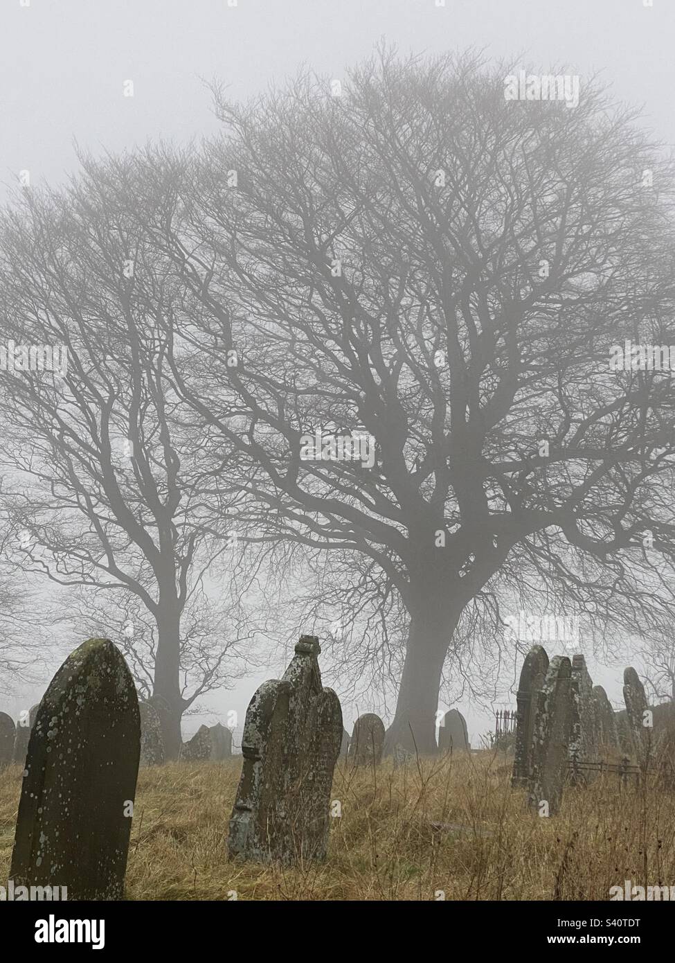 Misty graveyard hi-res stock photography and images - Alamy