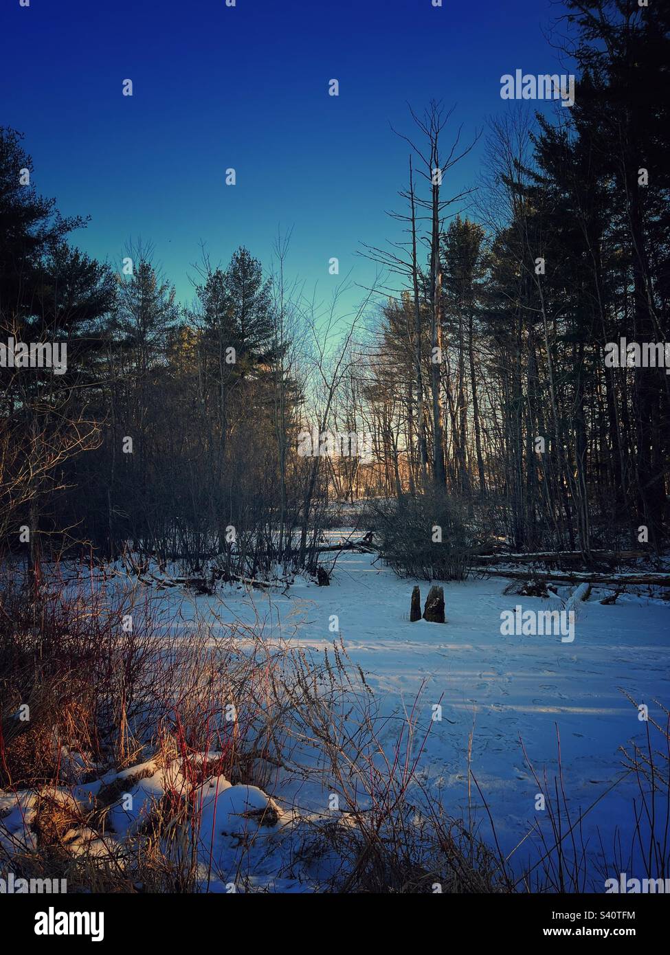 Golden hour snow hi-res stock photography and images - Alamy