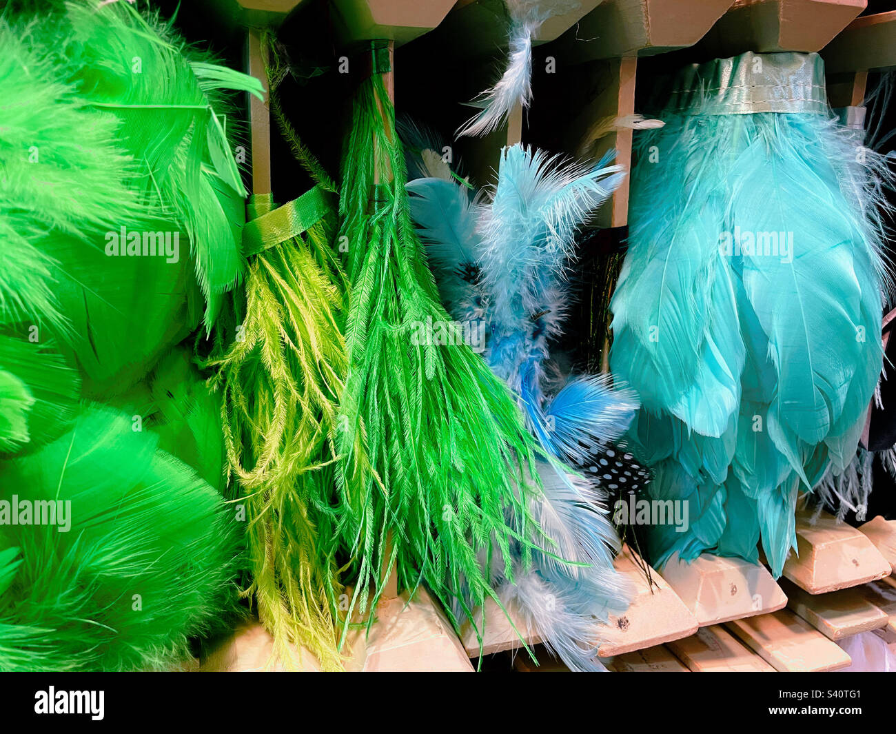 Feathers for sale in a fashion district retail store, 2023, New York ...