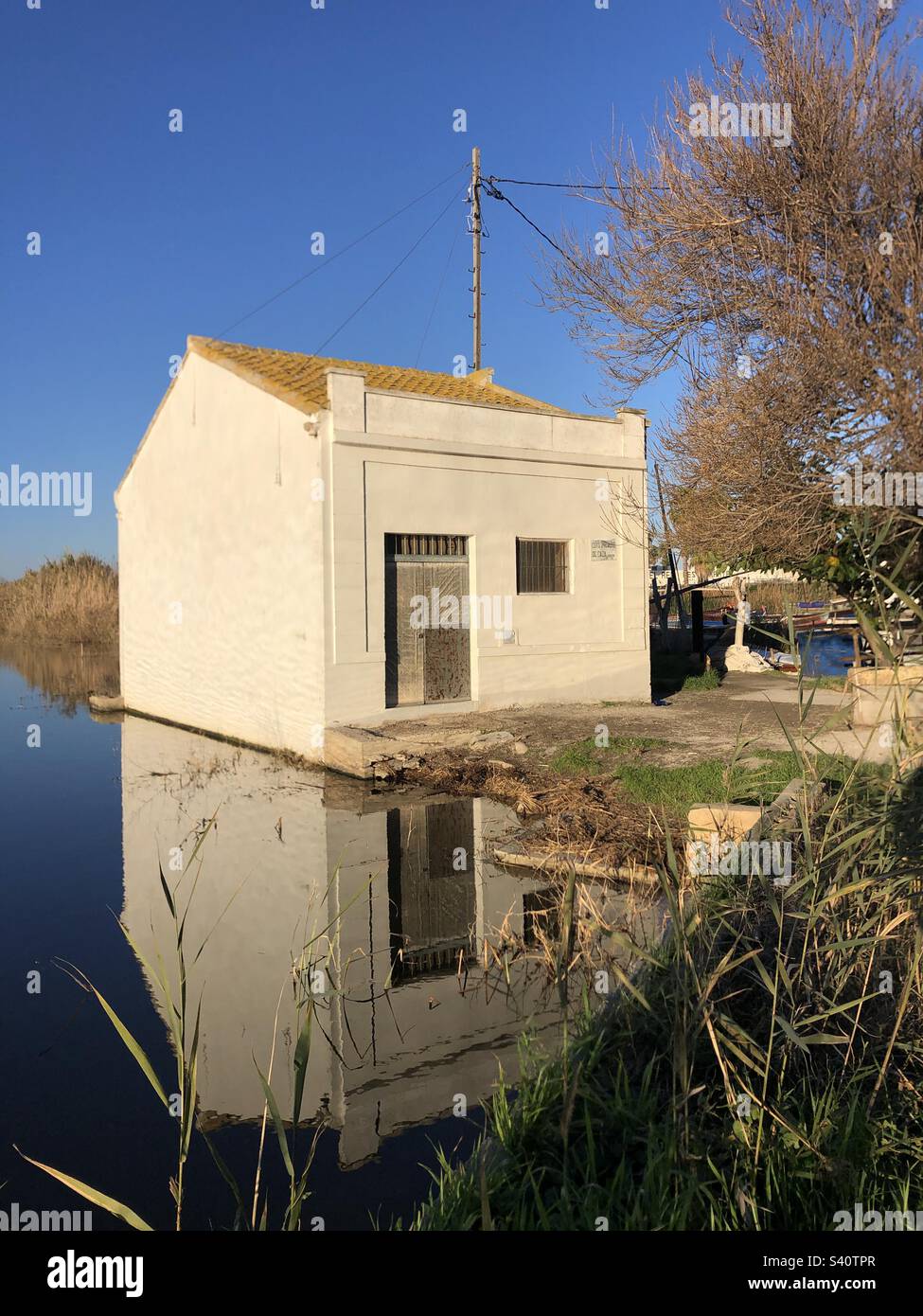 El palmar lake hi-res stock photography and images - Alamy