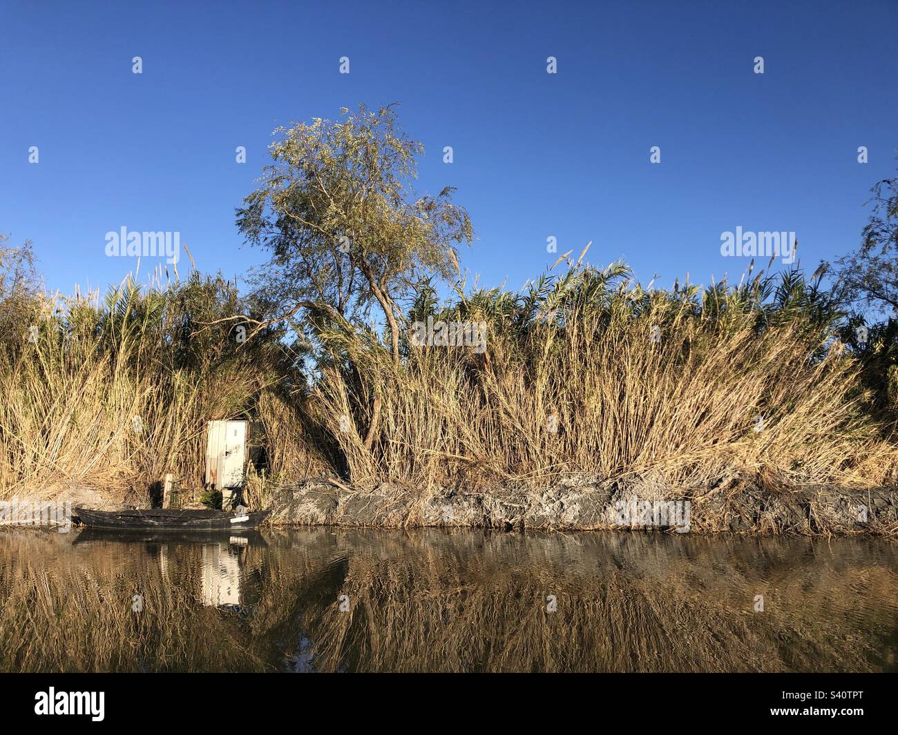 Landscape by lake in el palmar Valencia Spain Stock Photo - Alamy