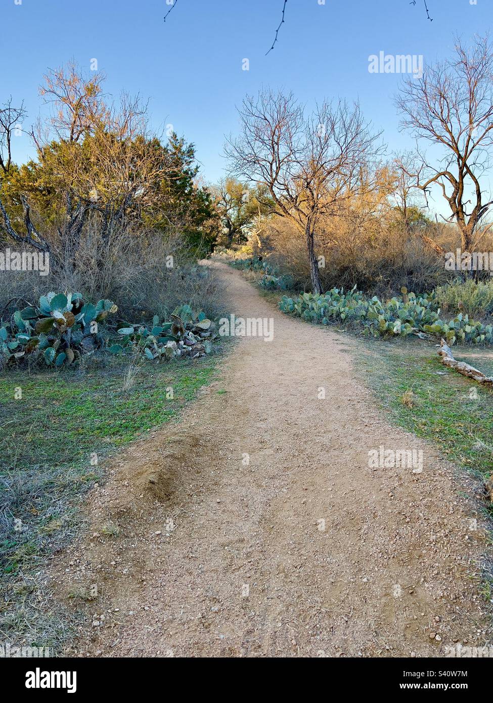Inks lake hiking trails hi-res stock photography and images - Alamy