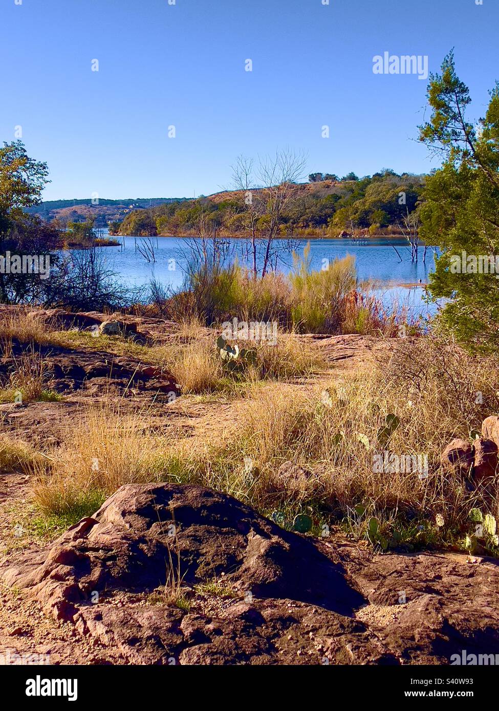 Natural inks hi-res stock photography and images - Alamy