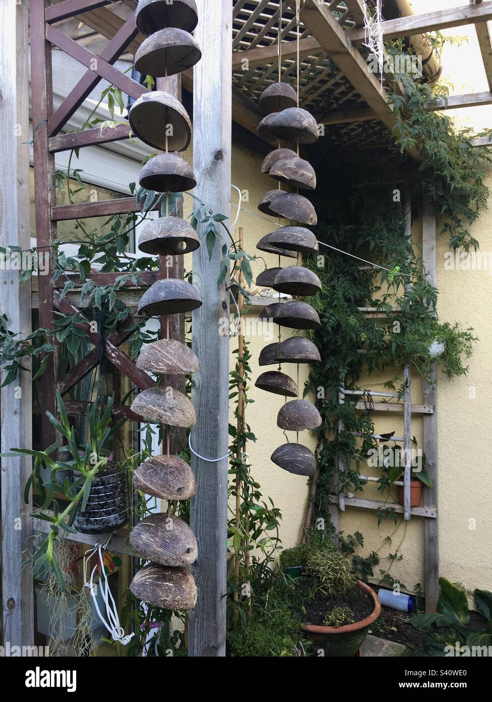 Coconut shells hi-res stock photography and images - Alamy