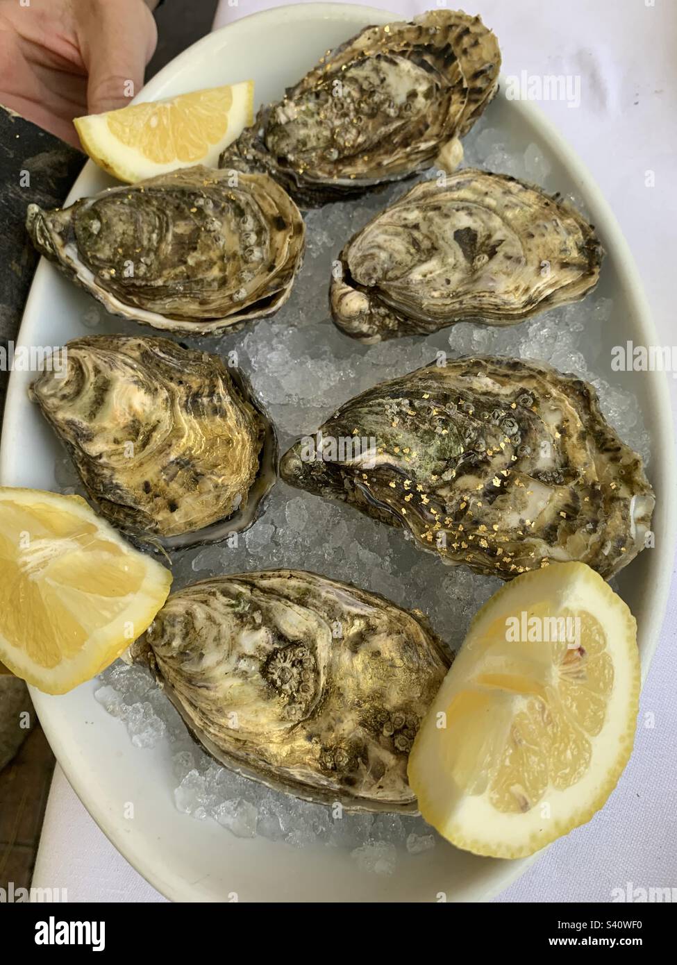 Sea Food; Food photography; Top view; Fish; Italy Stock Photo - Alamy