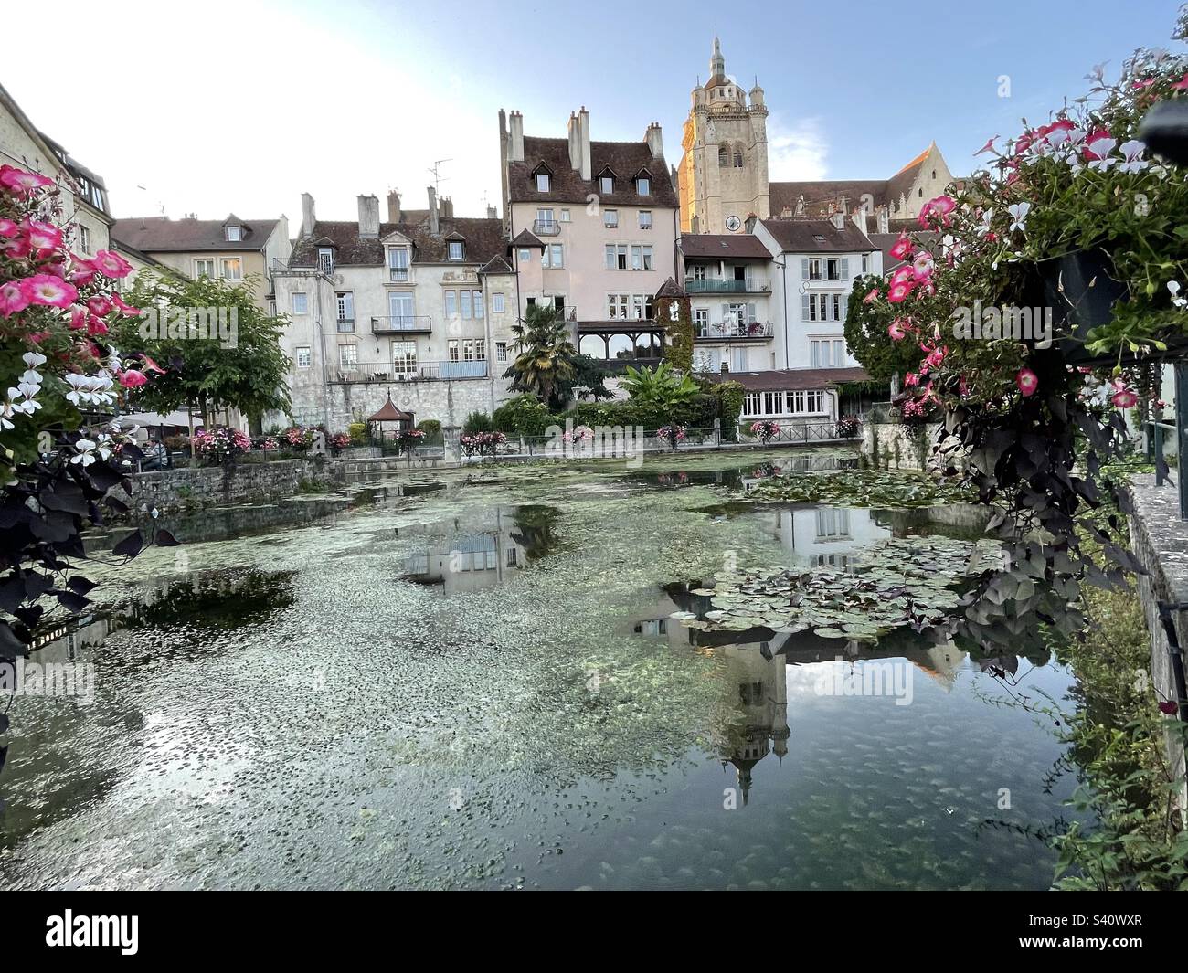 Louis pasteur dole hi-res stock photography and images - Alamy