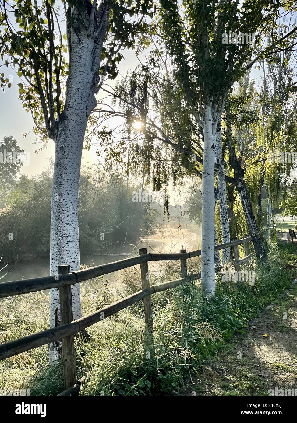 Silver haze hi-res stock photography and images - Alamy