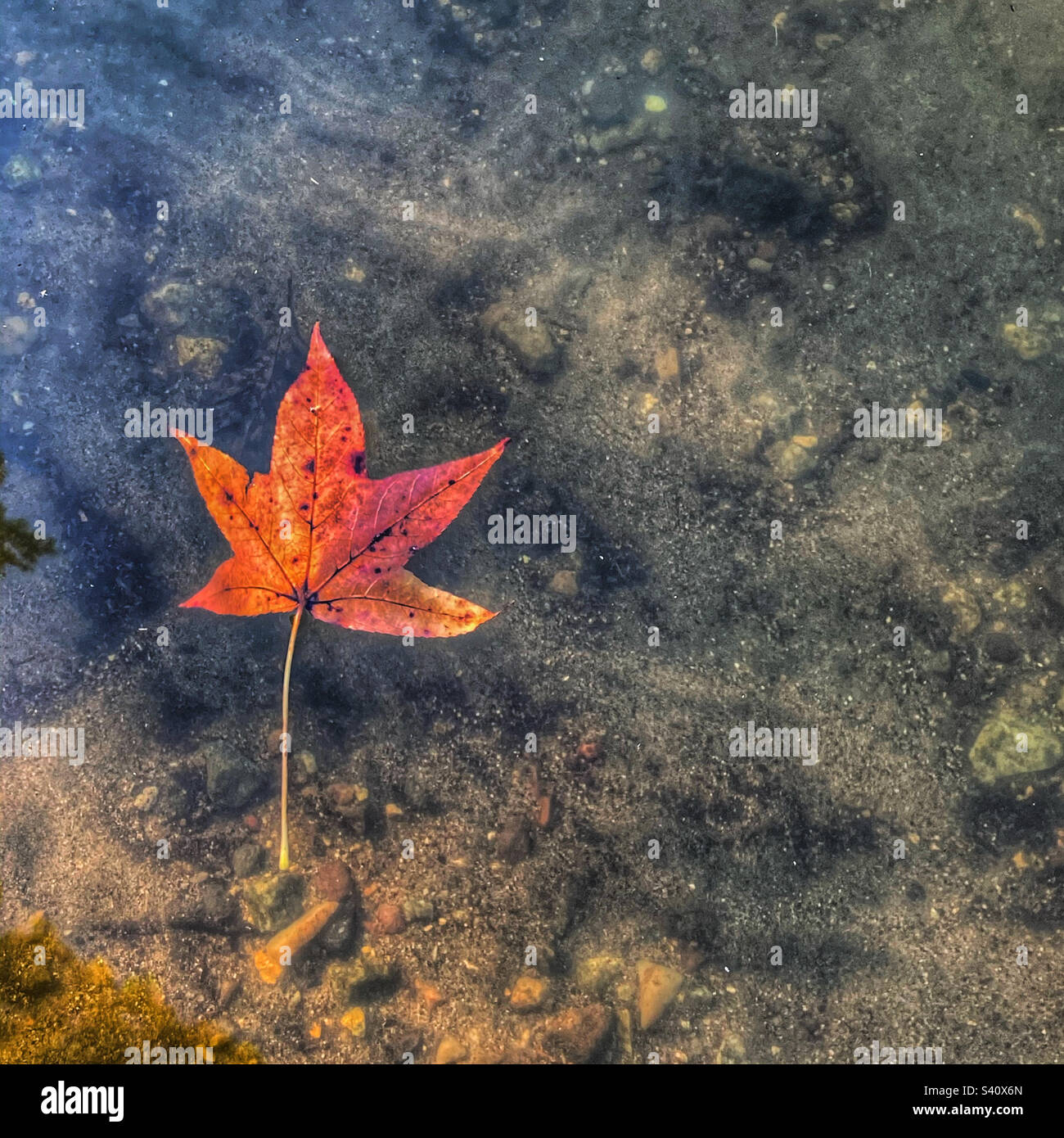 Free fall water hi-res stock photography and images - Alamy