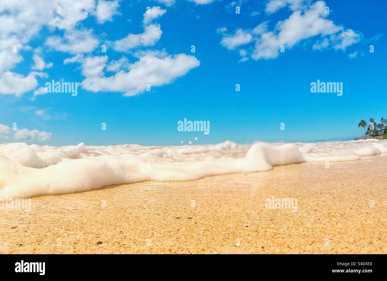 Wave and foam hi-res stock photography and images - Alamy