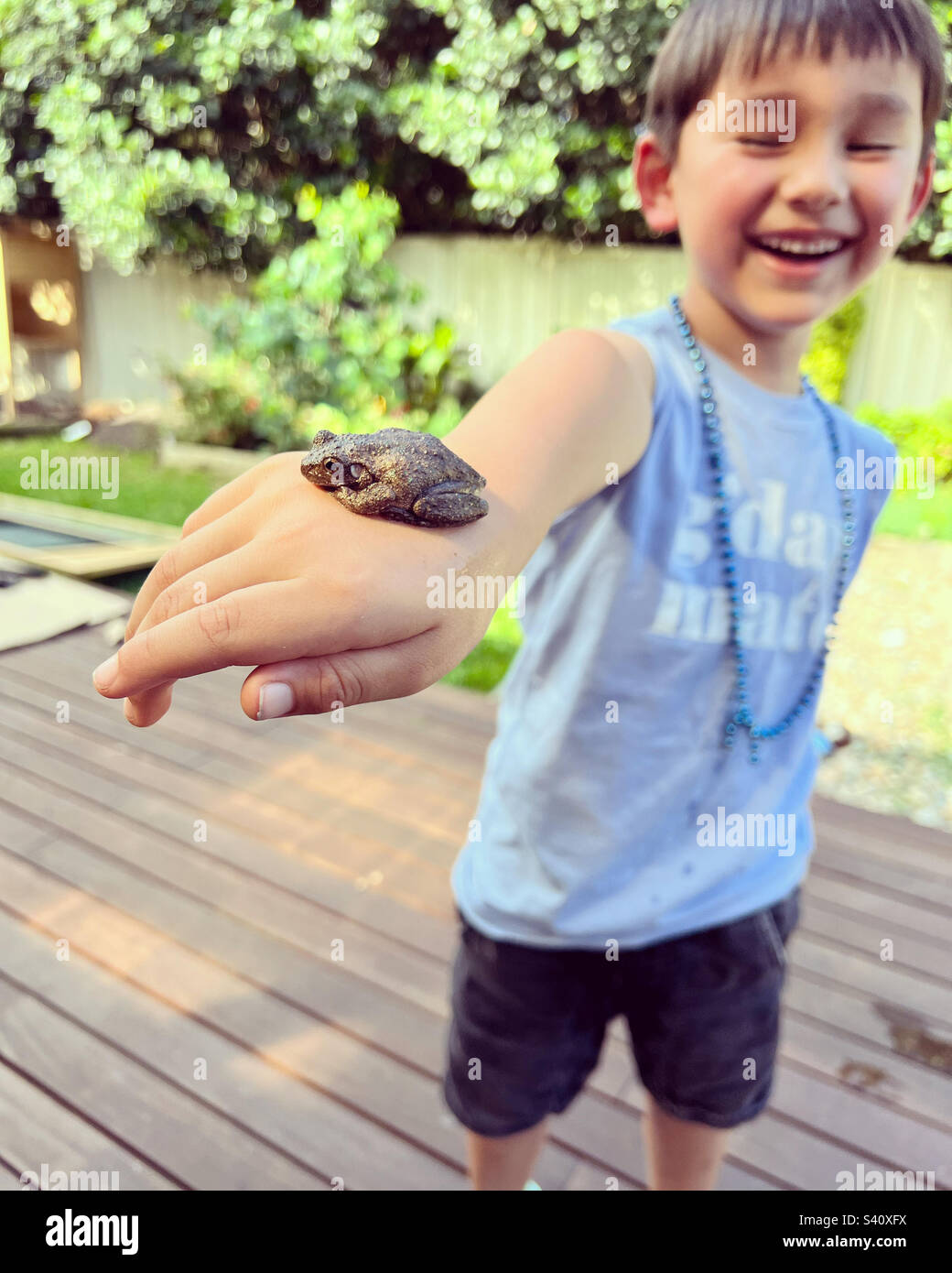 Frog boy hi-res stock photography and images - Alamy
