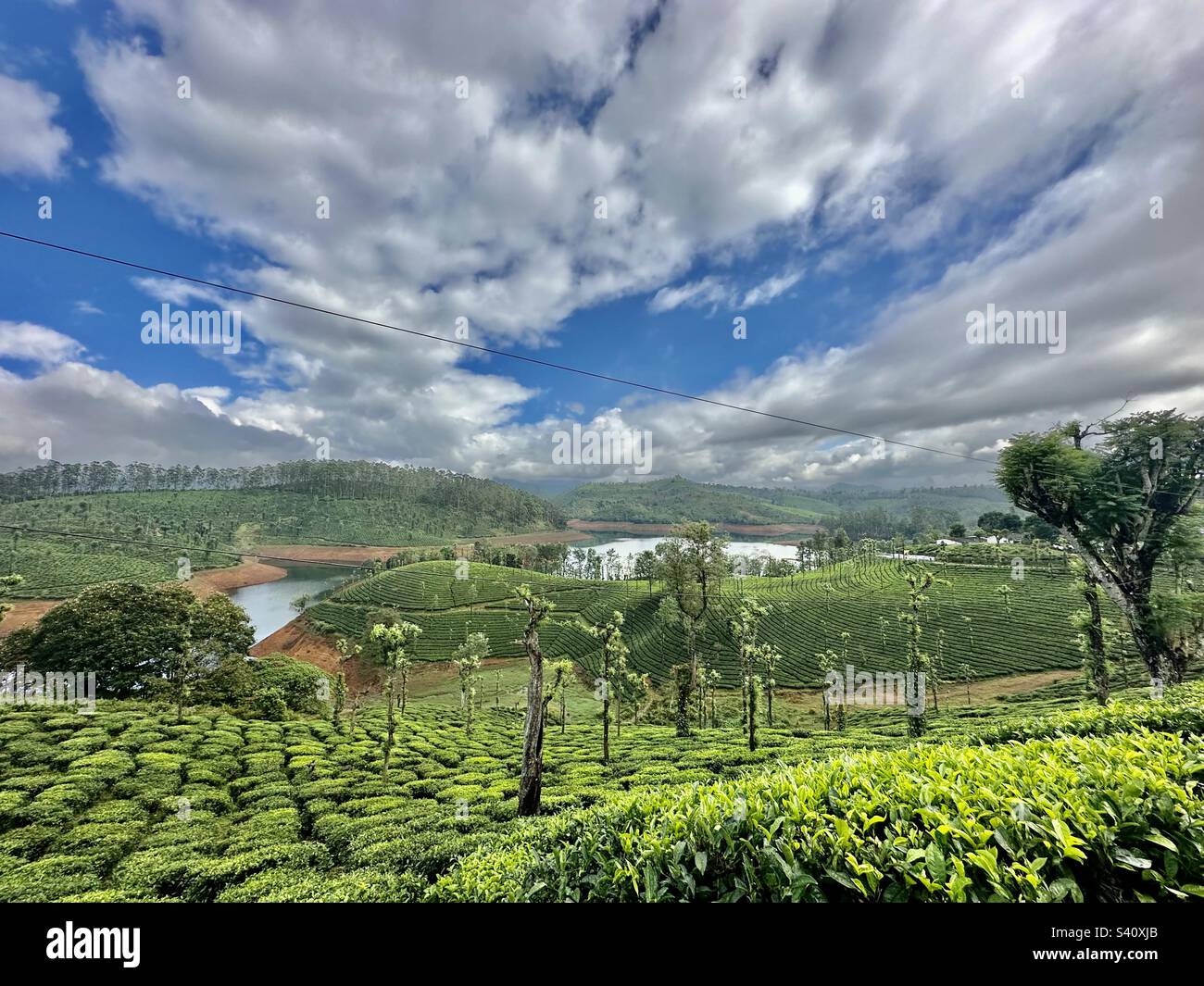 Valparai hi-res stock photography and images - Alamy