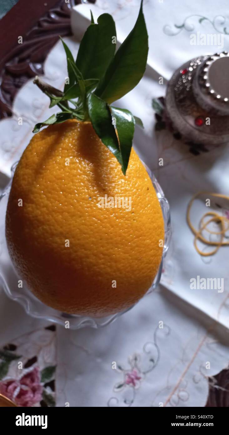 Long shape orange Stock Photo - Alamy