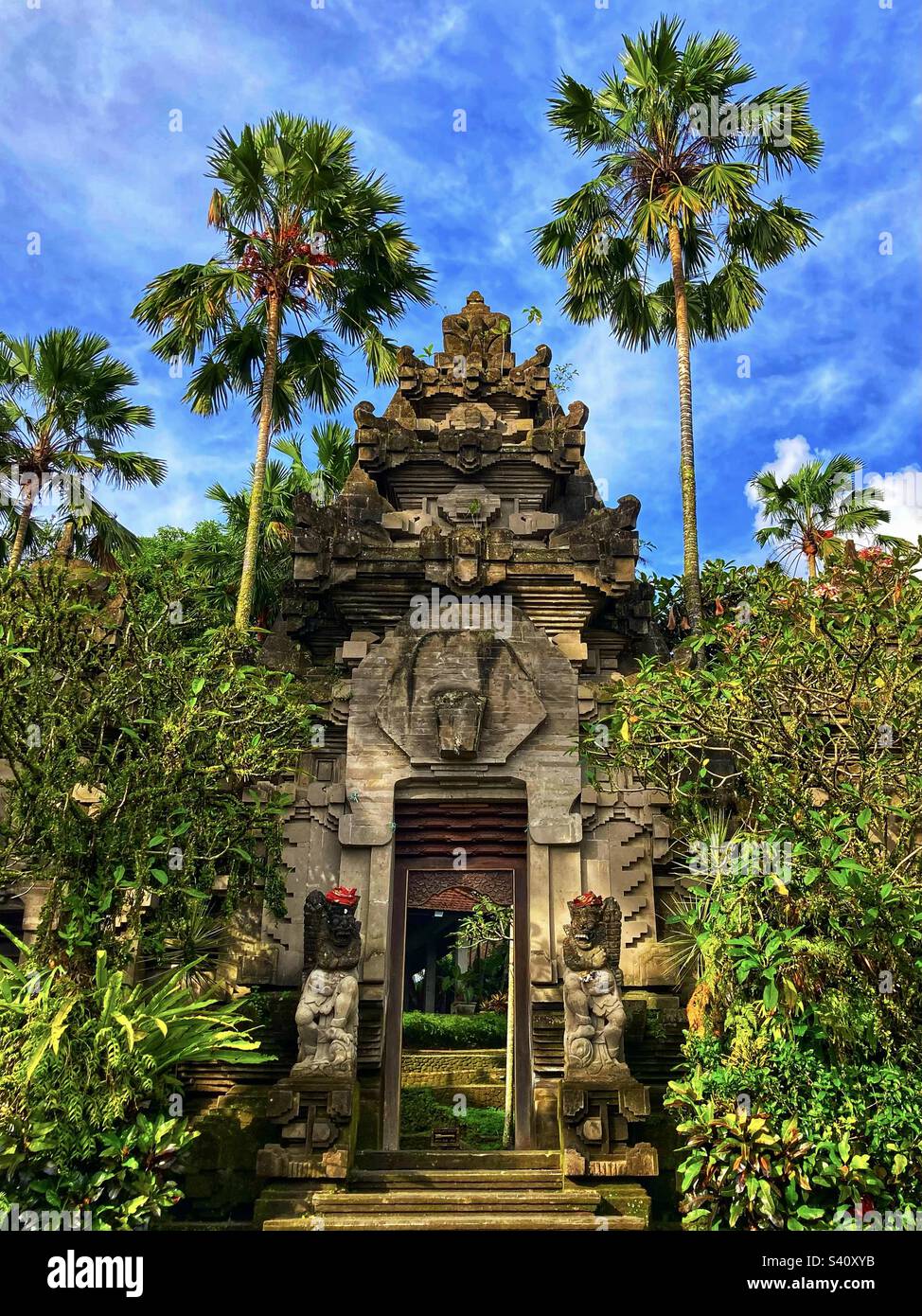 Entrance gate palm trees hi-res stock photography and images - Alamy