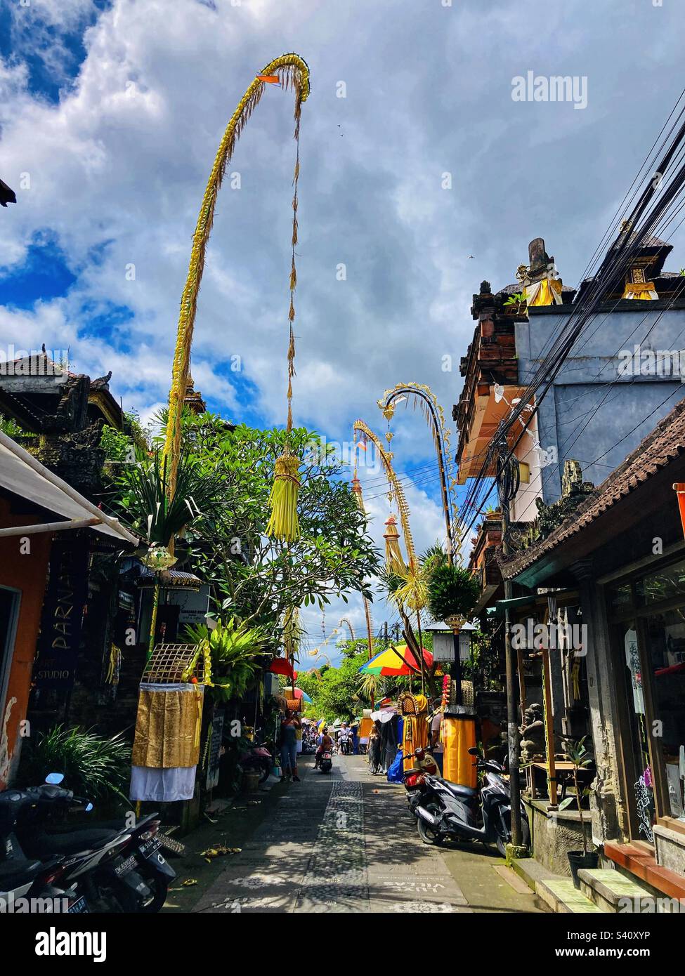 Lane in Ubud Bali with Panjor bamboo poles out celebrating Galungan ...