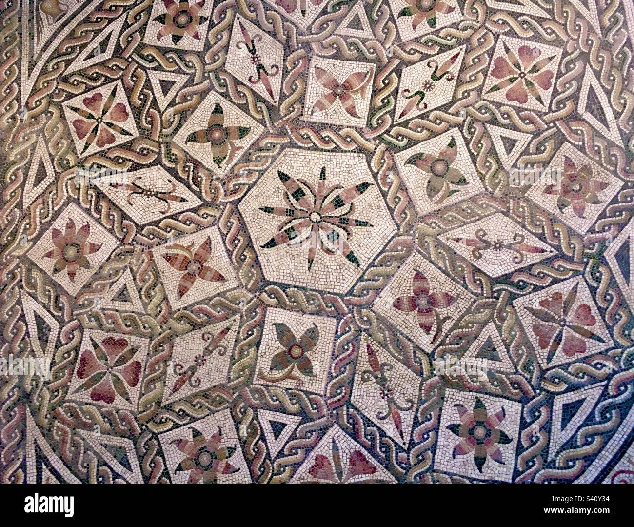 Roman flowers hi-res stock photography and images - Alamy