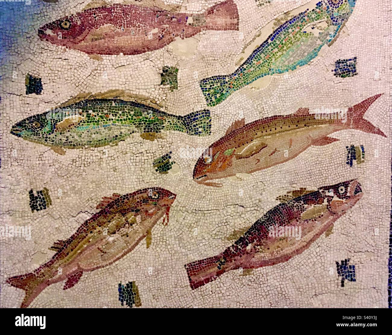Roman mosaic fish hi-res stock photography and images - Alamy