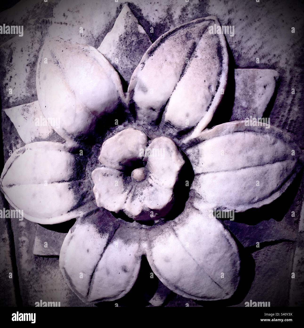 Marble flower hi-res stock photography and images - Alamy