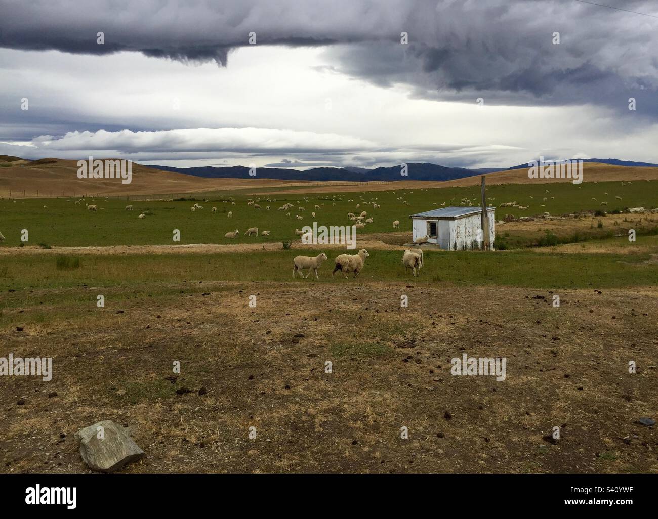 A remote farm in Central Otago, New Zealand Stock Photo - Alamy